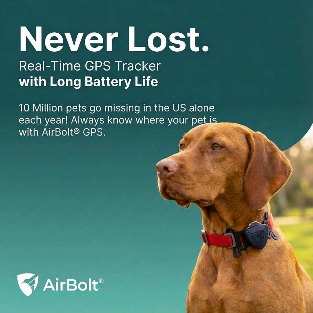 Shop Airbolt GPS Tracker For Pets – AirBolt